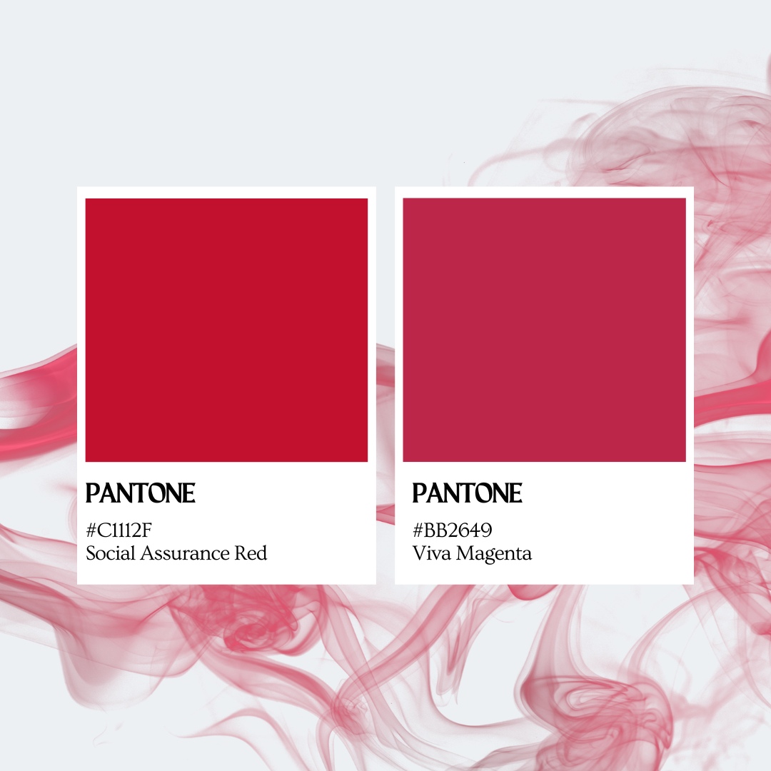 Meet Jayda, Graphic Design Intern at Social Assurance - Social Assurance